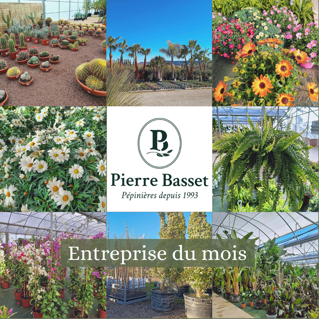 Zoom sur la Pépinière Pierre Basset – Pole Alpha